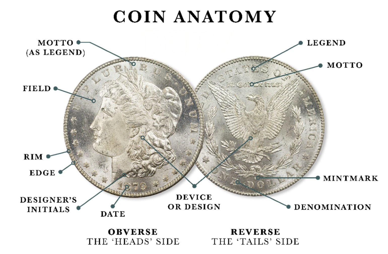 The parts of a coin | Miller's Mint