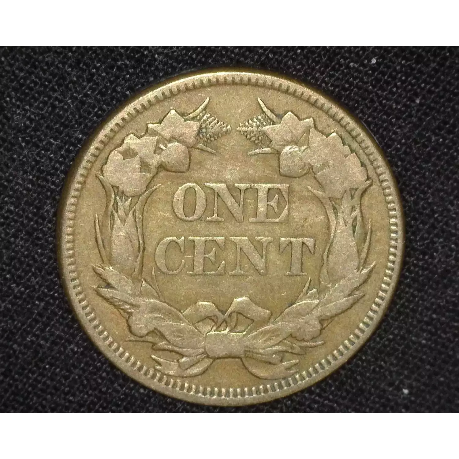 1858 Flying Eagle Small Cents F12 LL - Miller's Mint