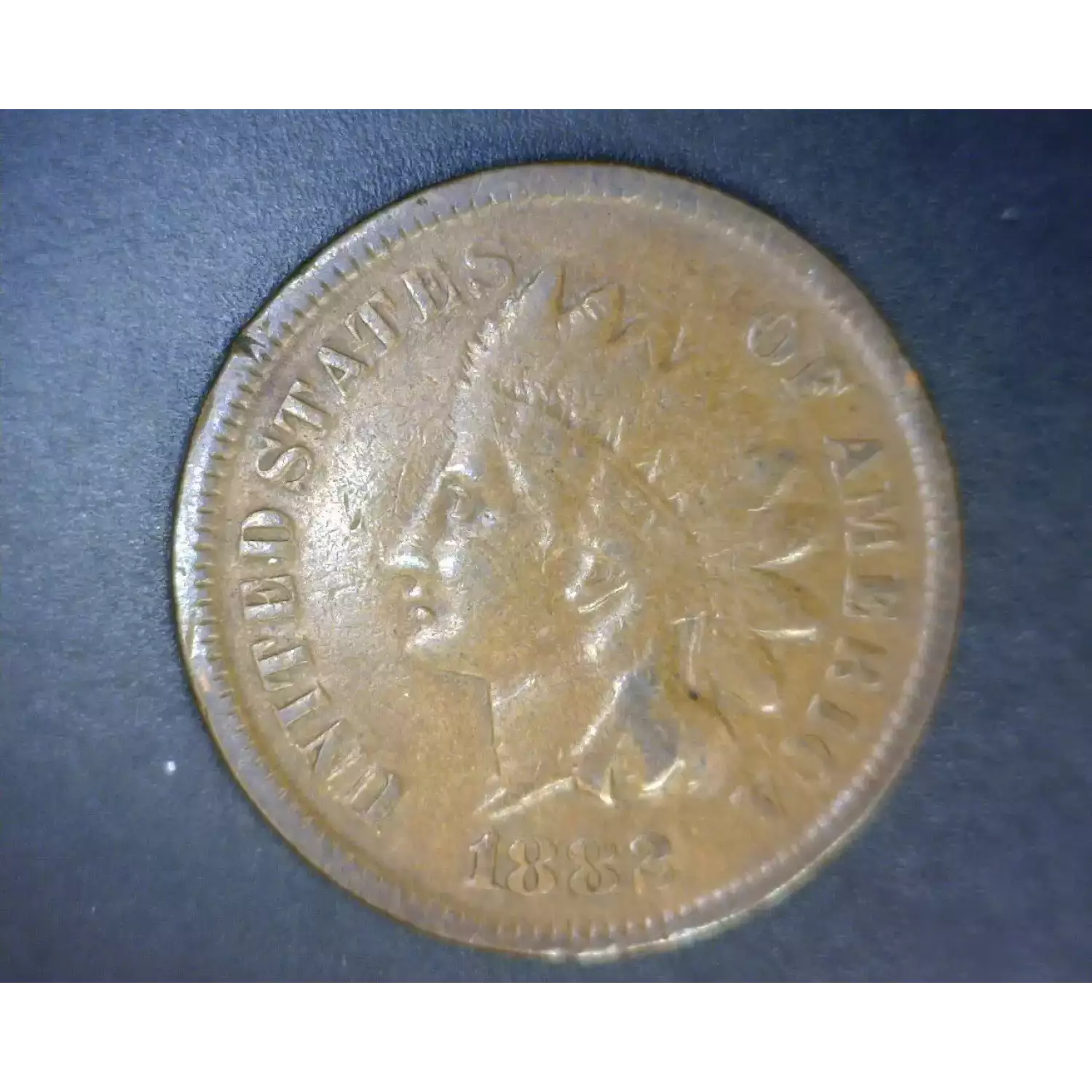 1882 Indian Head Cent VF20 - Miller's Mint