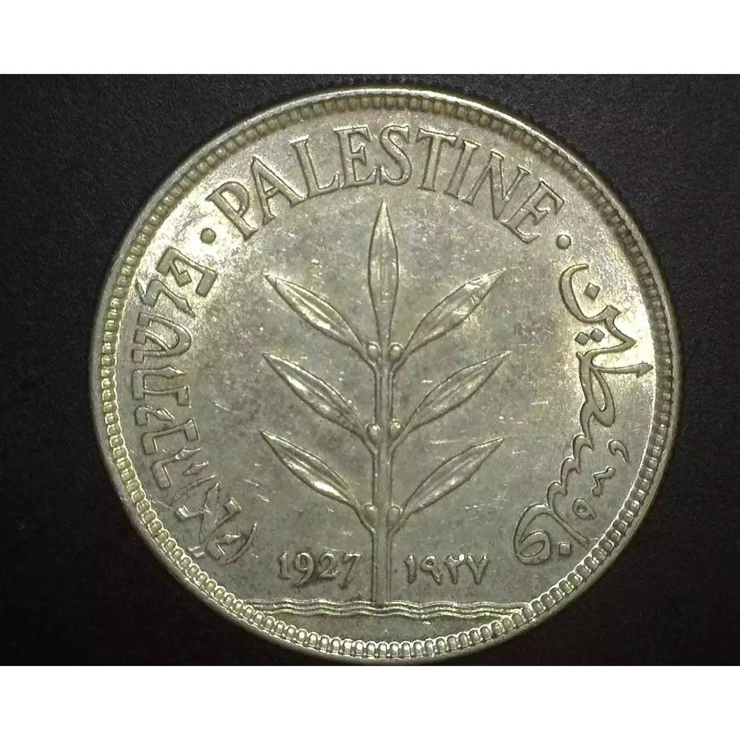 1927 PALESTINE 100 MILS AU50 - Miller's Mint