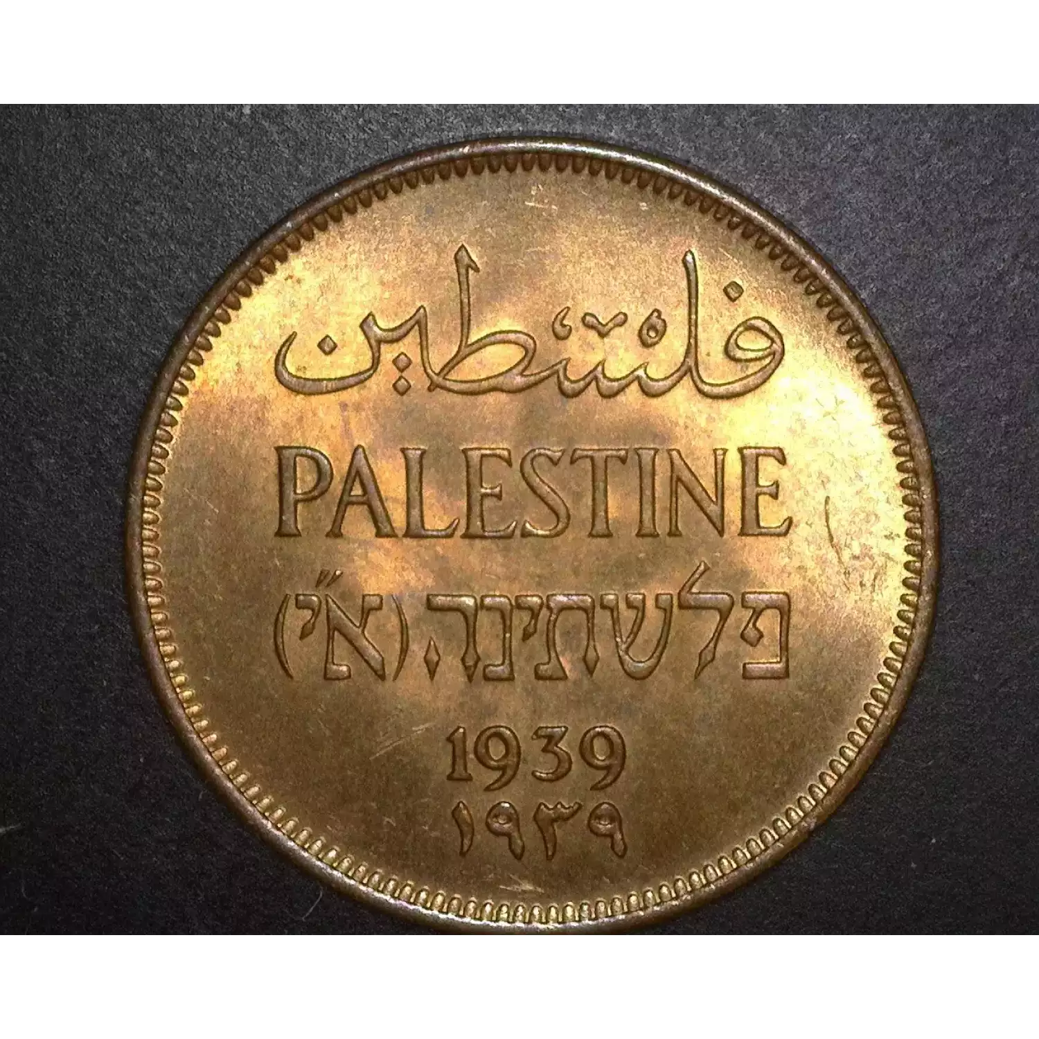 1939 PALESTINE MIL MS64 RD - Miller's Mint