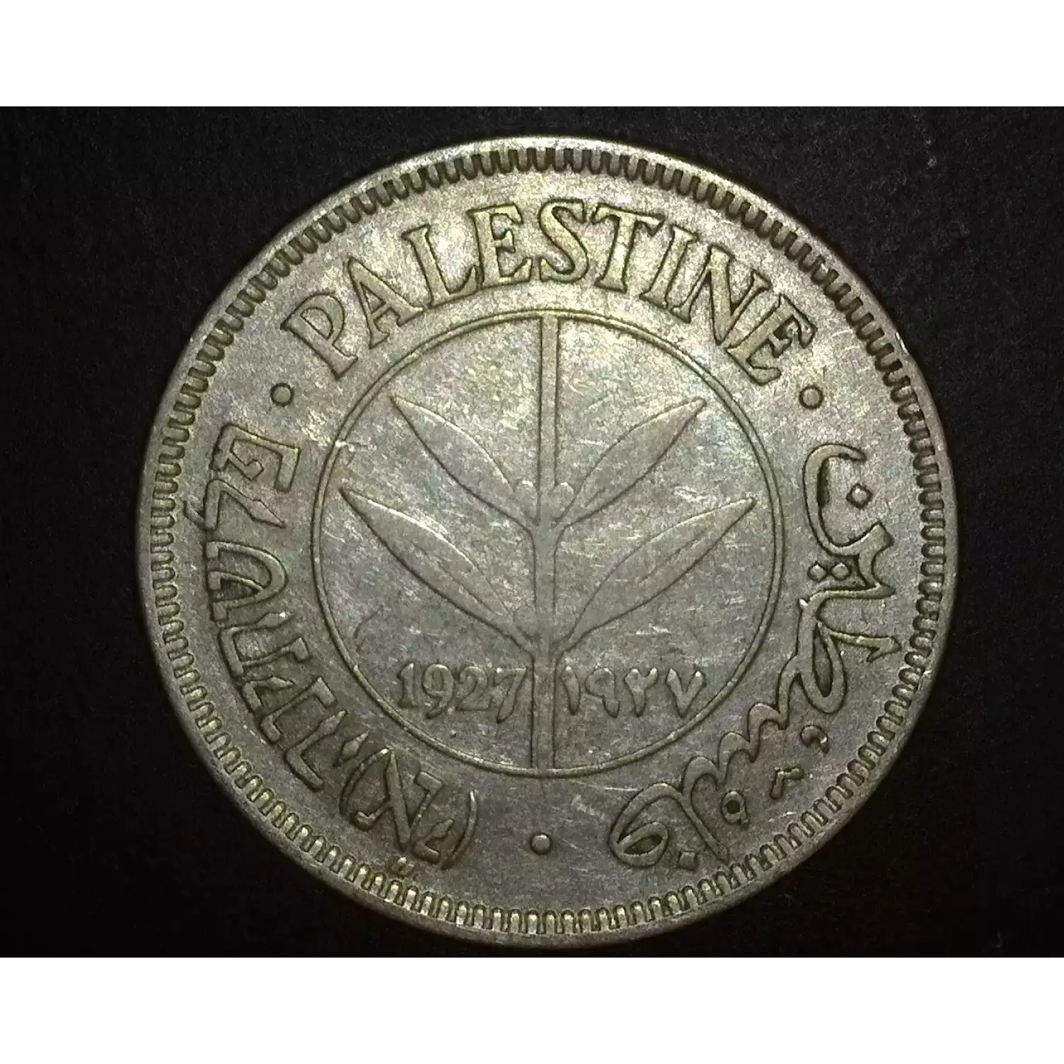 1927 PALESTINE 50 MILS VF35 - Miller's Mint