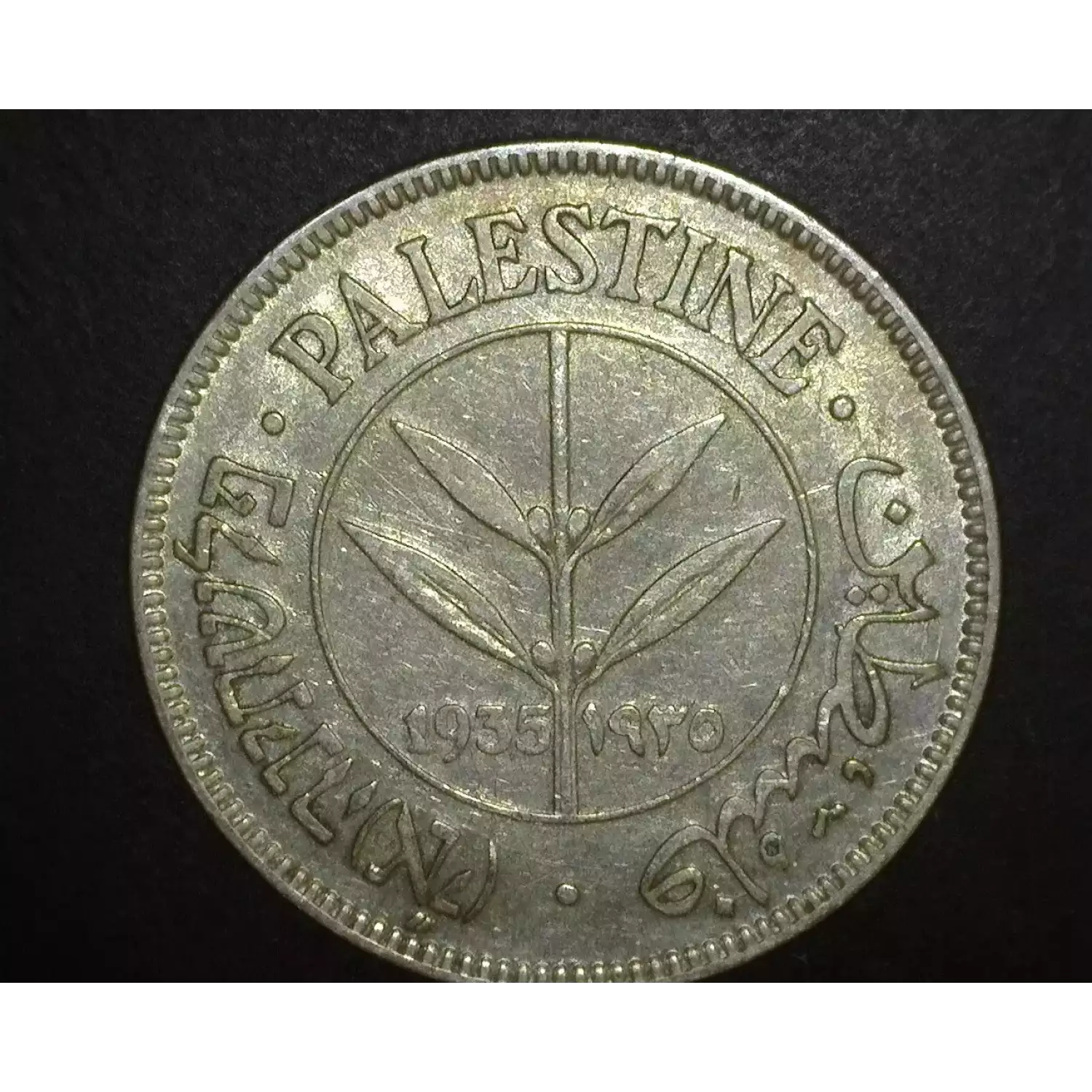 1935 PALESTINE 50 MILS EF43 - Miller's Mint