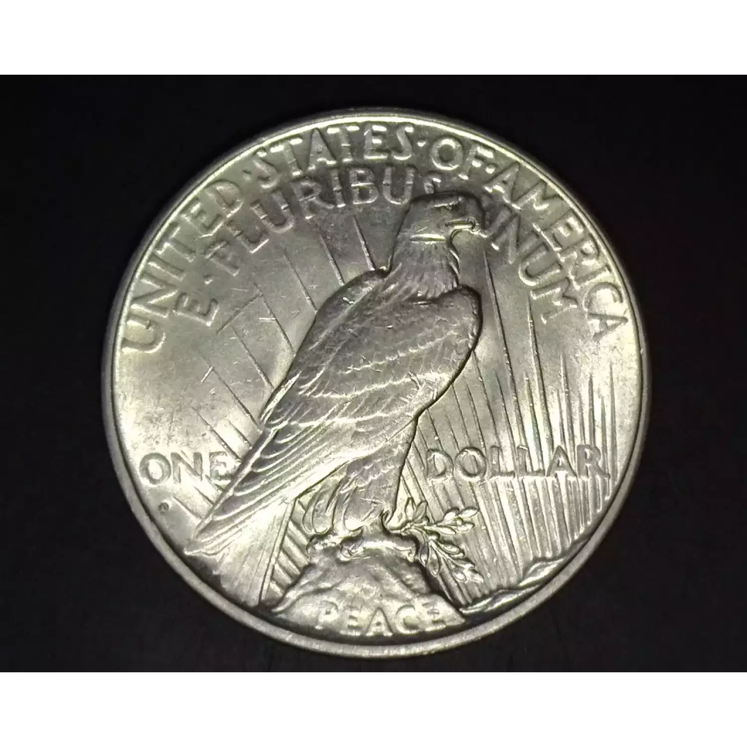 1934-D Peace Silver Dollar MS62 SmD - Miller's Mint