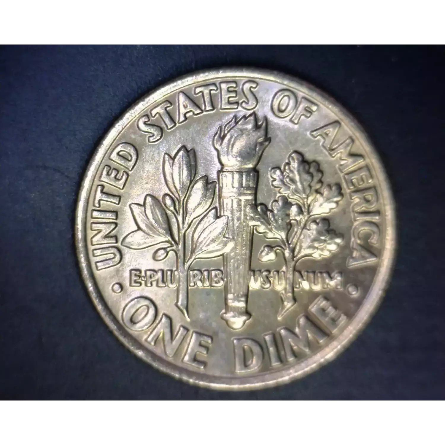 1981 Dimes Roosevelt MS65 FT - Miller's Mint