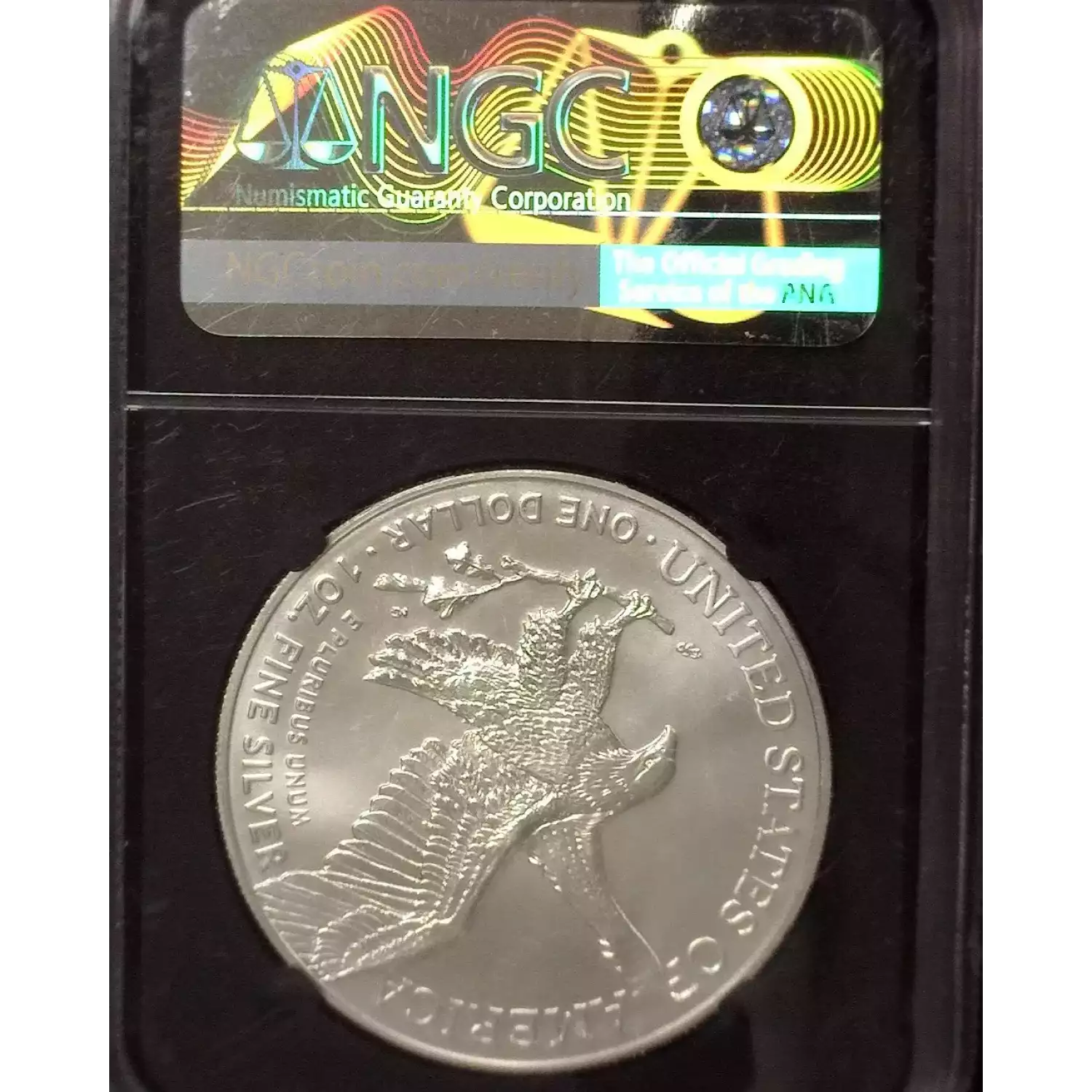 2022 Bullion Silver Eagles NGC MS-70 - Miller's Mint